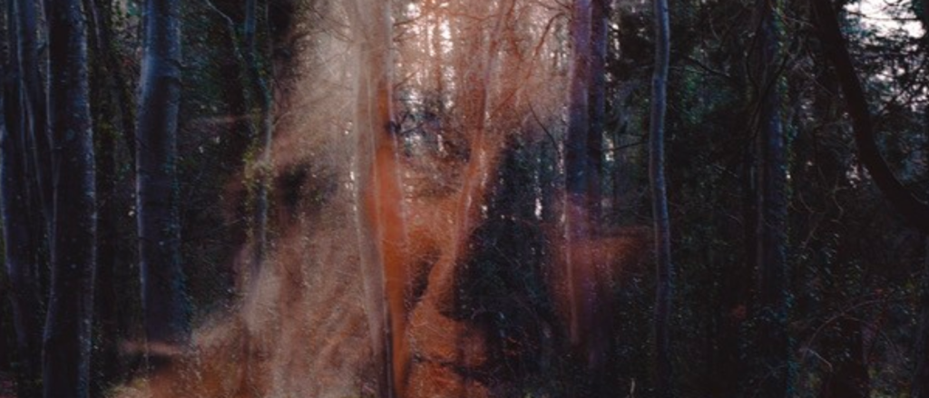 Discover Dark Alchemy of Forgotten Songs in Folk Horror 'All You Need ...